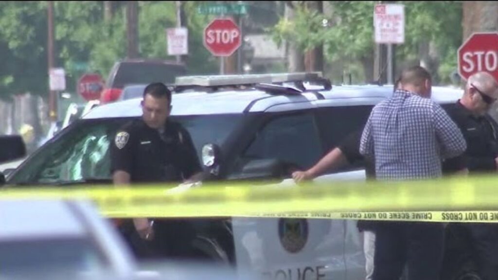 Tuscaloosa Domestic Dispute Turns Violent: Woman Shoots Boyfriend ...