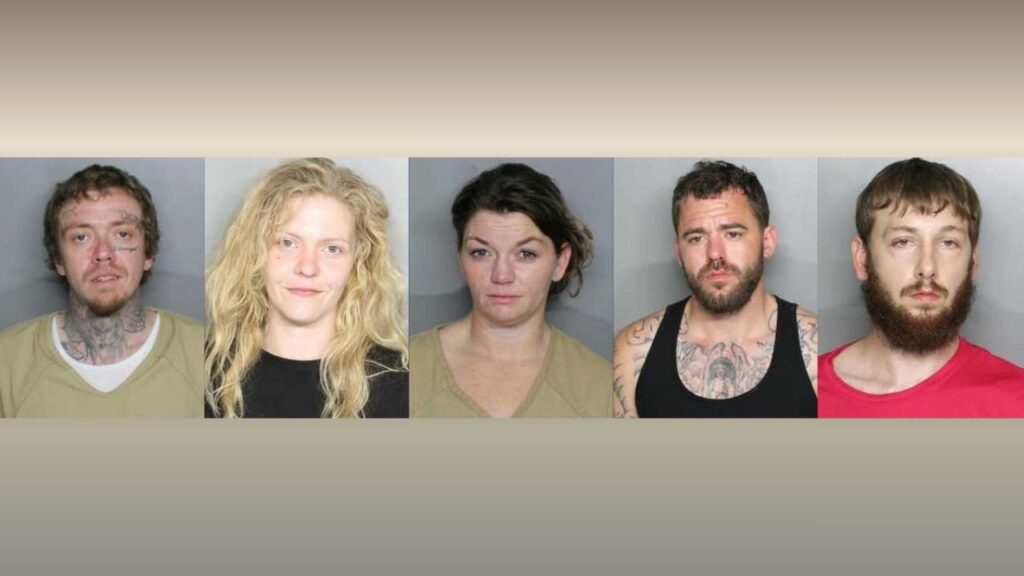 SWAT, K-9 Units Storm Port Charlotte Home; Five Arrested in Major Drug ...